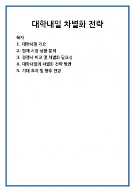 대학내일 차별화 전략-1페이지