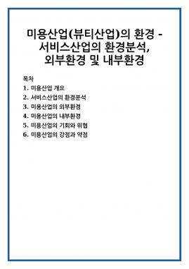 미용산업(뷰티산업)의 환경 - 서비스산업의 환경분석, 외부환경 및 내부환경-1페이지