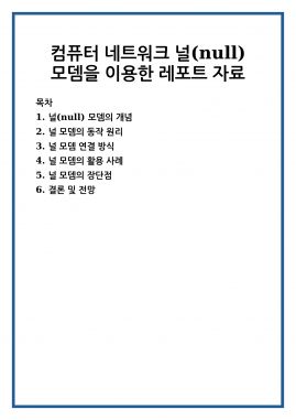 컴퓨터 네트워크 널(null) 모뎀을 이용한 레포트 자료-1페이지