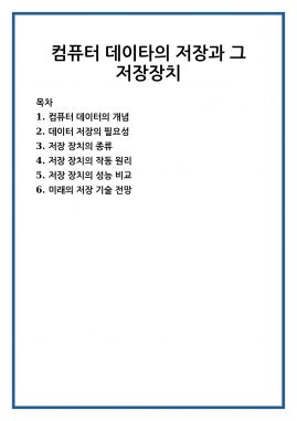 컴퓨터 데이타의 저장과 그 저장장치-1페이지