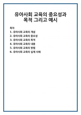 유아사회 교육의 중요성과 목적 그리고 예시-1페이지