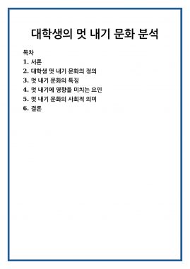 대학생의 멋 내기 문화 분석-1페이지