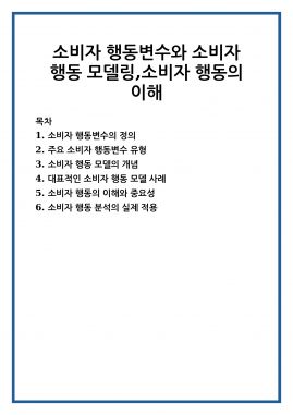 소비자 행동변수와 소비자 행동 모델링,소비자 행동의 이해-1페이지