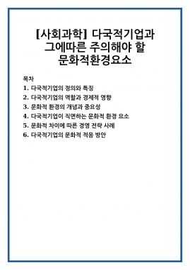 [사회과학] 다국적기업과 그에따른 주의해야 할 문화적환경요소-1페이지