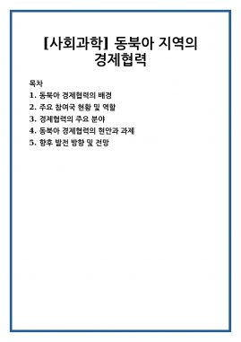 [사회과학] 동북아 지역의 경제협력-1페이지