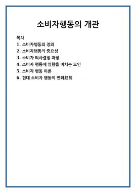 소비자행동의 개관-1페이지