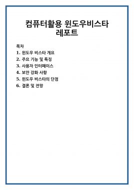 컴퓨터활용 윈도우비스타 레포트-1페이지