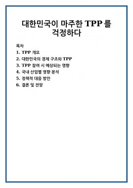 대한민국이 마주한 TPP를 걱정하다-1페이지
