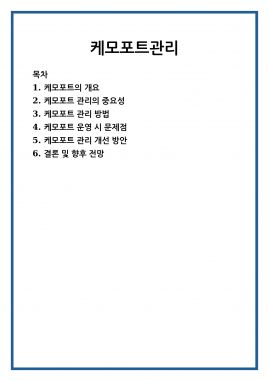 케모포트관리-1페이지