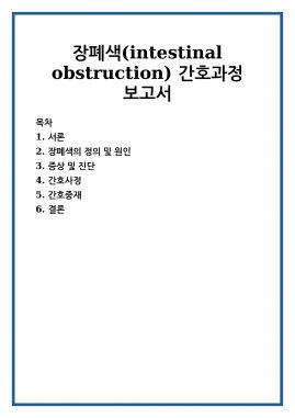 장폐색(intestinal obstruction) 간호과정 보고서-1페이지