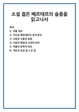 소설 젊은 베르테르의 슬픔을 읽고나서-1페이지
