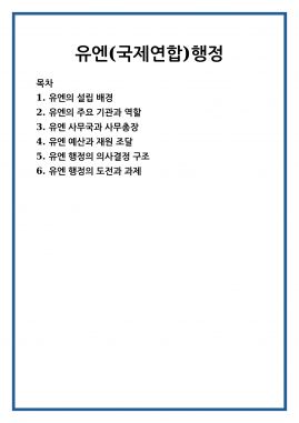 유엔(국제연합)행정-1페이지