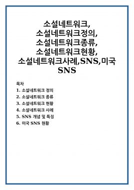 소설네트워크, 소설네트워크정의,소설네트워크종류,소설네트워크현황,소설네트워크사례,SNS,미국SNS-1페이지