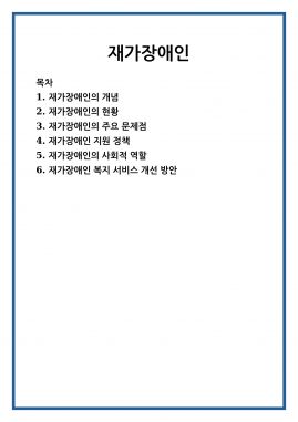 재가장애인 레포트 자료-1페이지