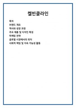 켈빈클라인 레포트 자료-1페이지