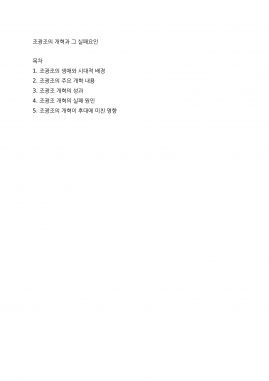 조광조의 개혁과 그 실패요인-1페이지