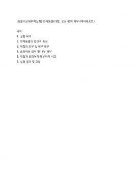 [동물비교해부학실험] 연체동물(대합, 오징어)의 해부 (예비레포트)-1페이지