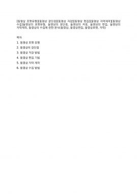 [동영상 포맷유형][동영상 장단점][동영상 저장][동영상 편집][동영상 자막제작][동영상 수집]동영상의 포맷유형, 동영상의 장단점, 동영상의 저장, 동영상의 편집, 동영상의 자막제작, 동영상의 수집에 관한 분석(동영상, 동영상편집, 동영상포멧, 자막)-1페이지
