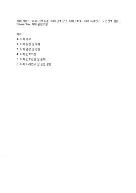 치매 케이스, 치매 간호과정, 치매 간호진단, 치매 CASE, 치매 사례연구, 노인간호 실습, Dementia, 치매 문헌고찰-1페이지