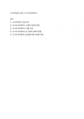 시니어(실버) 산업- 시니어 유비쿼터스-1페이지