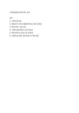 시맨틱웹,RIa,엑티브엑스 분석-1페이지