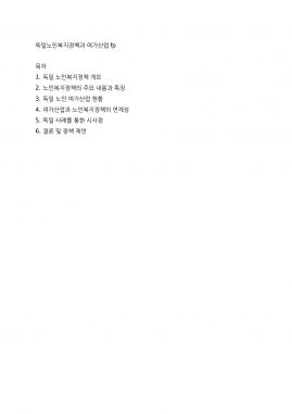 독일노인복지정책과 여가산업fp-1페이지