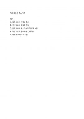 독점자본과 중소자본-1페이지
