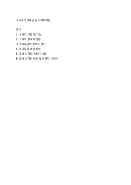 조세의 초과부담 및 최적화이론-1페이지