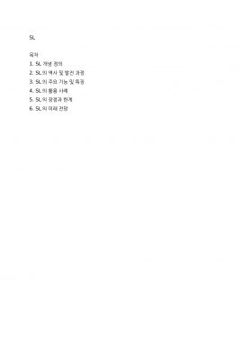 SL 레포트 자료-1페이지