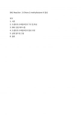 SN1 Reaction  2-Chloro-2-methylbutane의 합성-1페이지