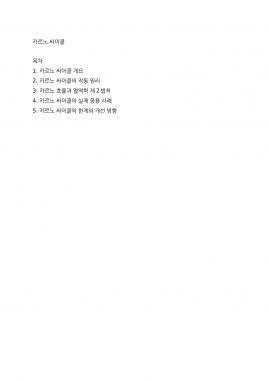카르노 싸이클-1페이지