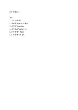 STP 전략 분석 레포트 자료-1페이지
