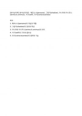 [분석심리학] 분석심리이론 - 페르소나(persona), 그림자(shadow), 아니마와 아니무스(anima & animus), 자기(self), 의식(consciousness)-1페이지