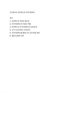 조직에서의 관리혁신과 인적자원혁신-1페이지