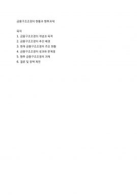 금융구조조정의 현황과 향후과제-1페이지