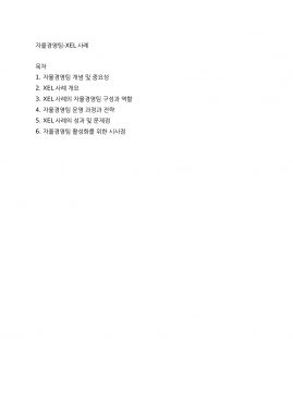 자율경영팀-XEL사례-1페이지