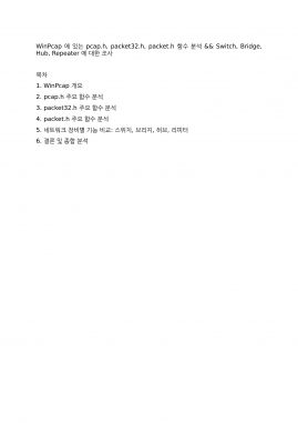 WinPcap 에 있는 pcap.h, packet32.h, packet.h 함수 분석 && Switch, Bridge, Hub, Repeater 에 대한 조사-1페이지