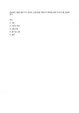 ZnO를 소결을 통해 이미 공부한 소결이론을 배경으로 SEM을 통해 미세구조를 관찰해 본다.-1페이지