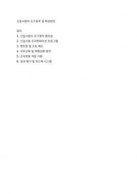 신입사원의 조기정착 및 육성방안-1페이지