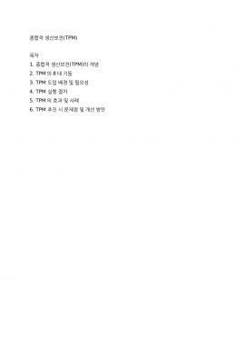 종합적 생산보전(TPM)-1페이지