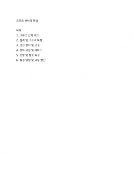 크루즈 선박의 특성-1페이지