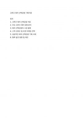 크루즈 테마 선택관광 기획자료-1페이지