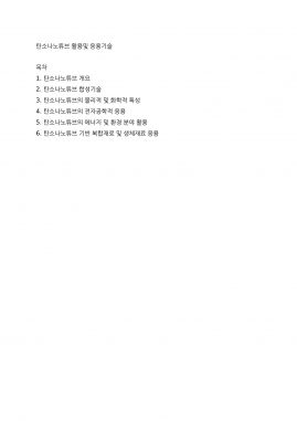 탄소나노튜브 활용및 응용기술-1페이지