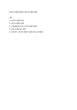 [정치적 위험]기업에서 정치적 위험의 영향-1페이지
