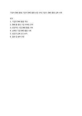 기업의 SNS 활용,기업의 SNS 활용 성공 사례,기업의  SNS 활용 실패 사례-1페이지