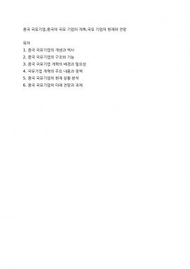 중국 국유기업,중국의 국유 기업의 개혁,국유 기업의 현재와 전망-1페이지