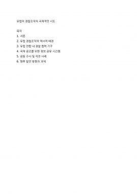 유럽의 경찰조직의 국제적인 시도-1페이지