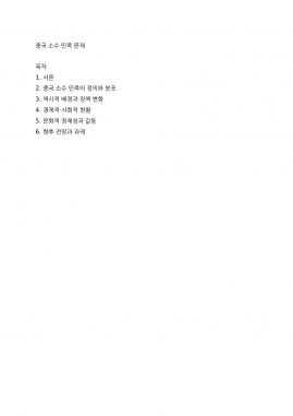 중국 소수 민족 문제-1페이지