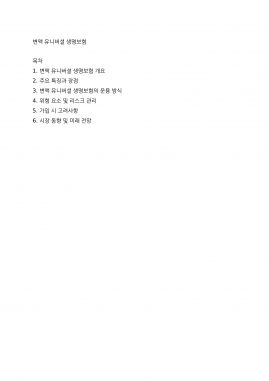 변액 유니버셜 생명보험-1페이지