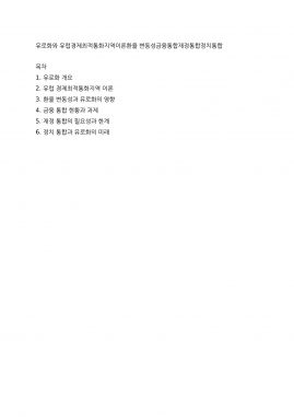 유로화와 유럽경제최적통화지역이론환율 변동성금융통합재정통합정치통합-1페이지